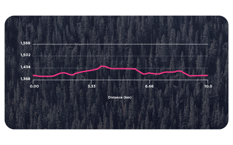 Cradle 100 – Fedgroup Trails