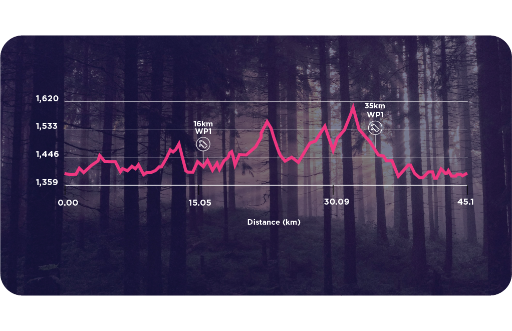 Cradle 100 – Fedgroup Trails