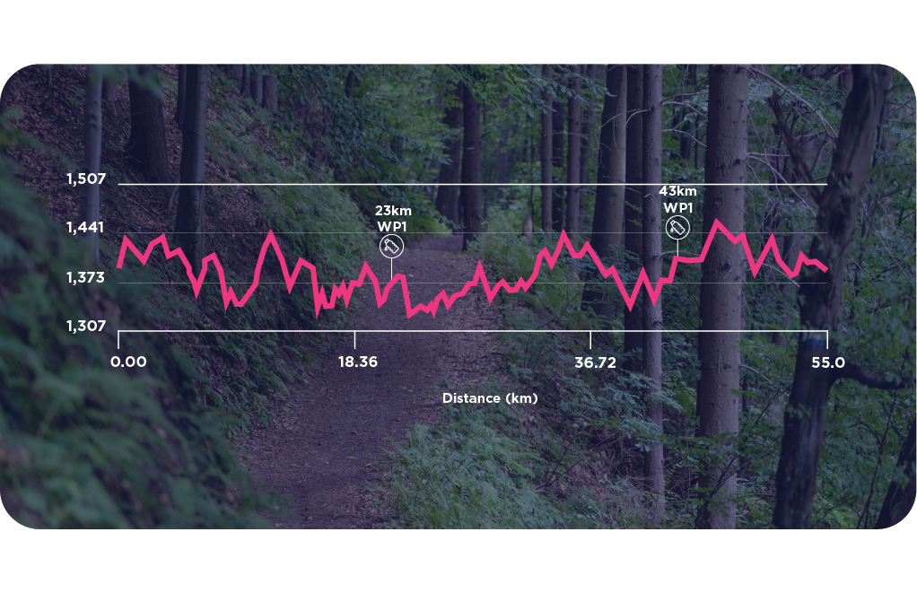 Cradle 100 – Fedgroup Trails